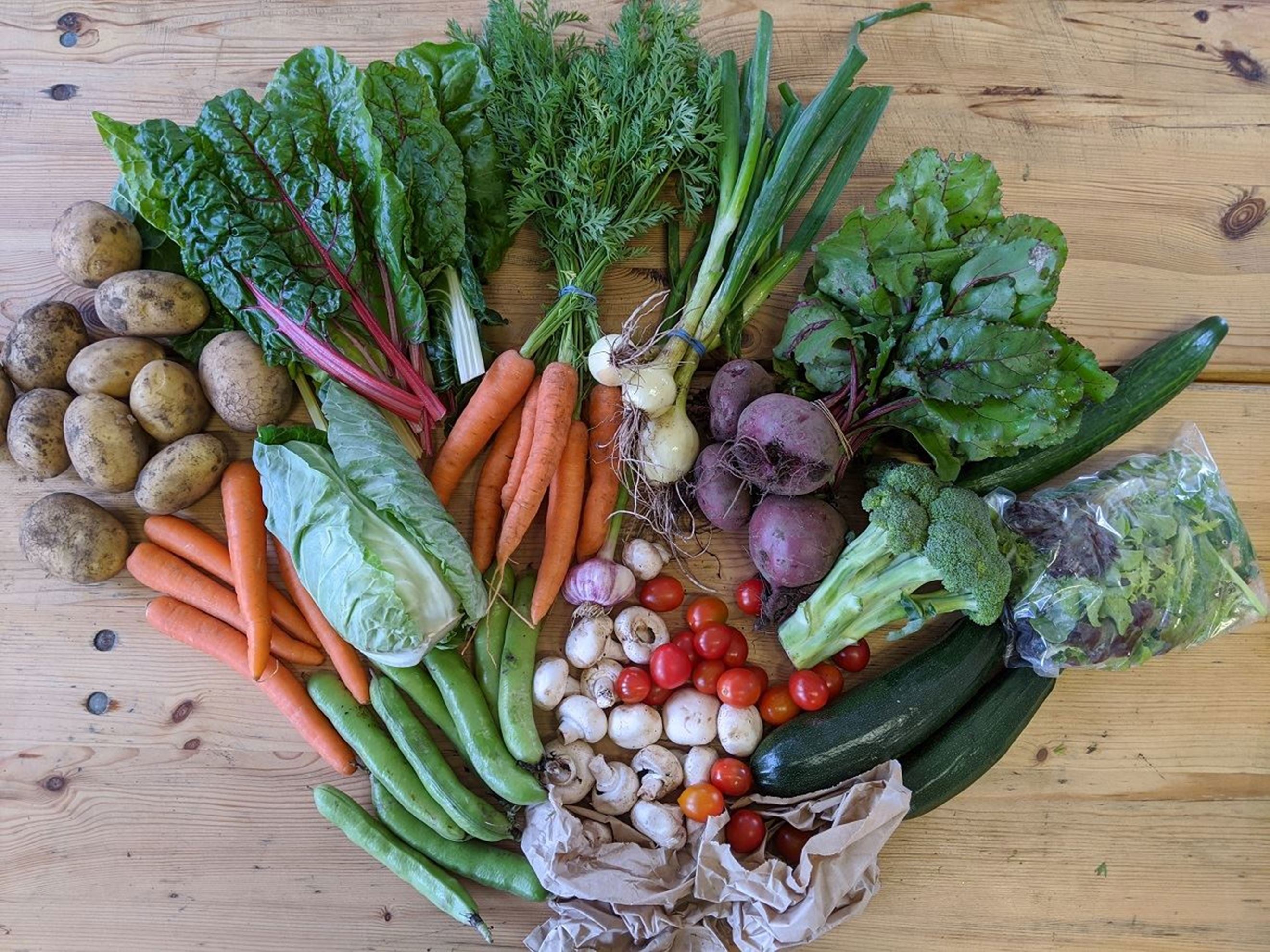 🥬 Veg Boxes | Regather - Sheffield