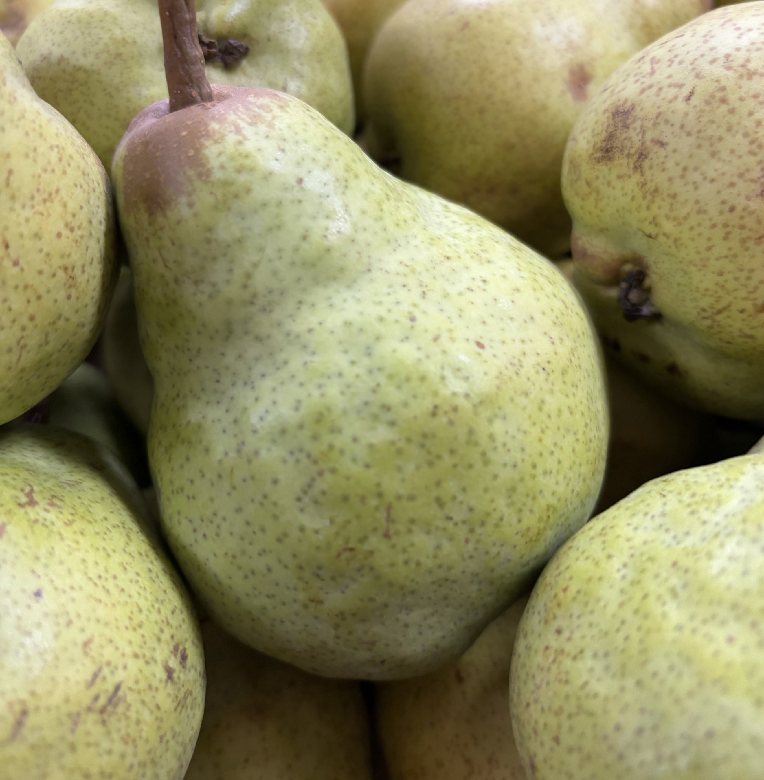 Pears | Warrah Farm Shop | Warrah Farm Shop