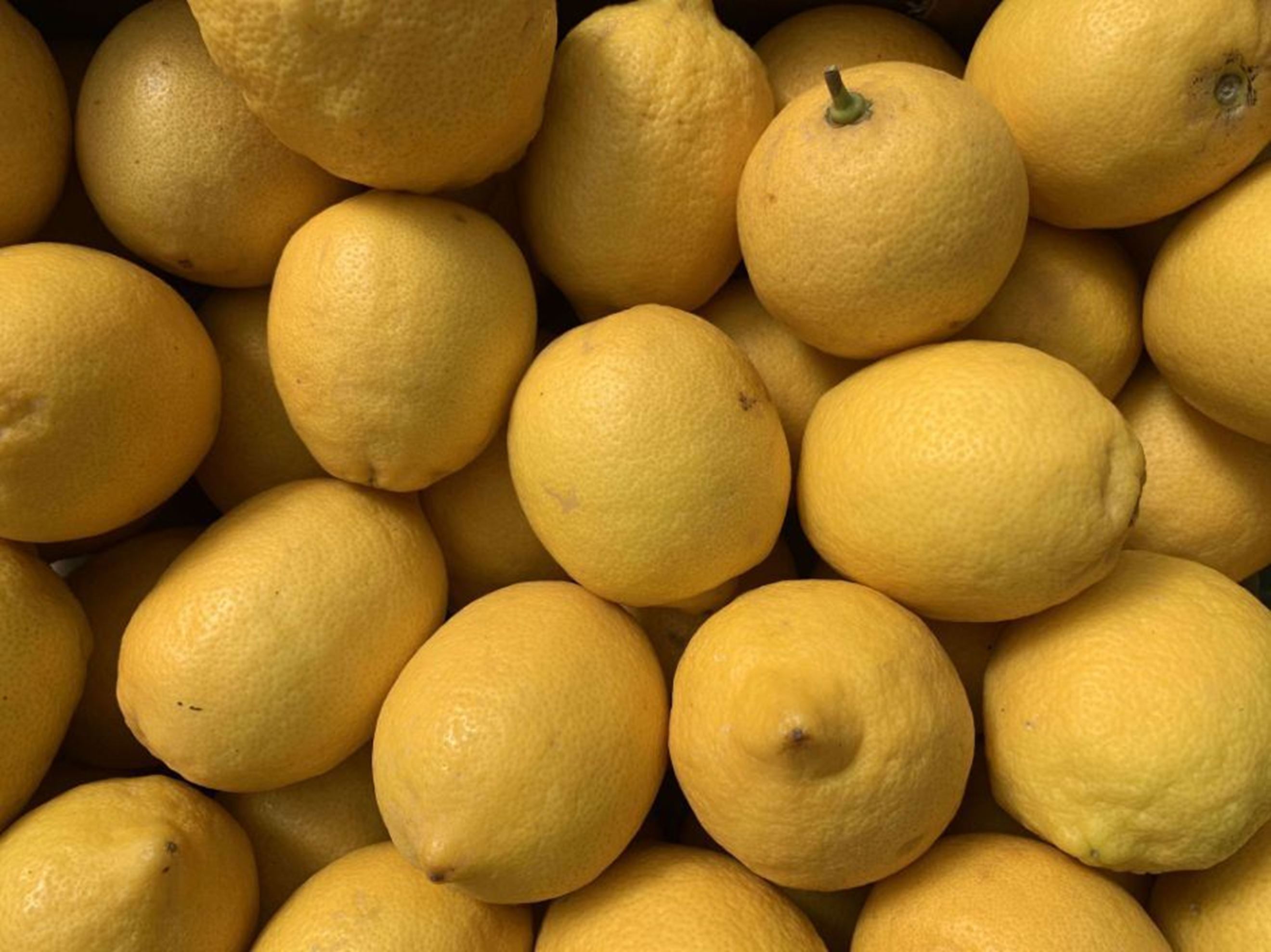 Lemons (Spain) | Growing with Grace - South Cumbria, Lancashire, North ...