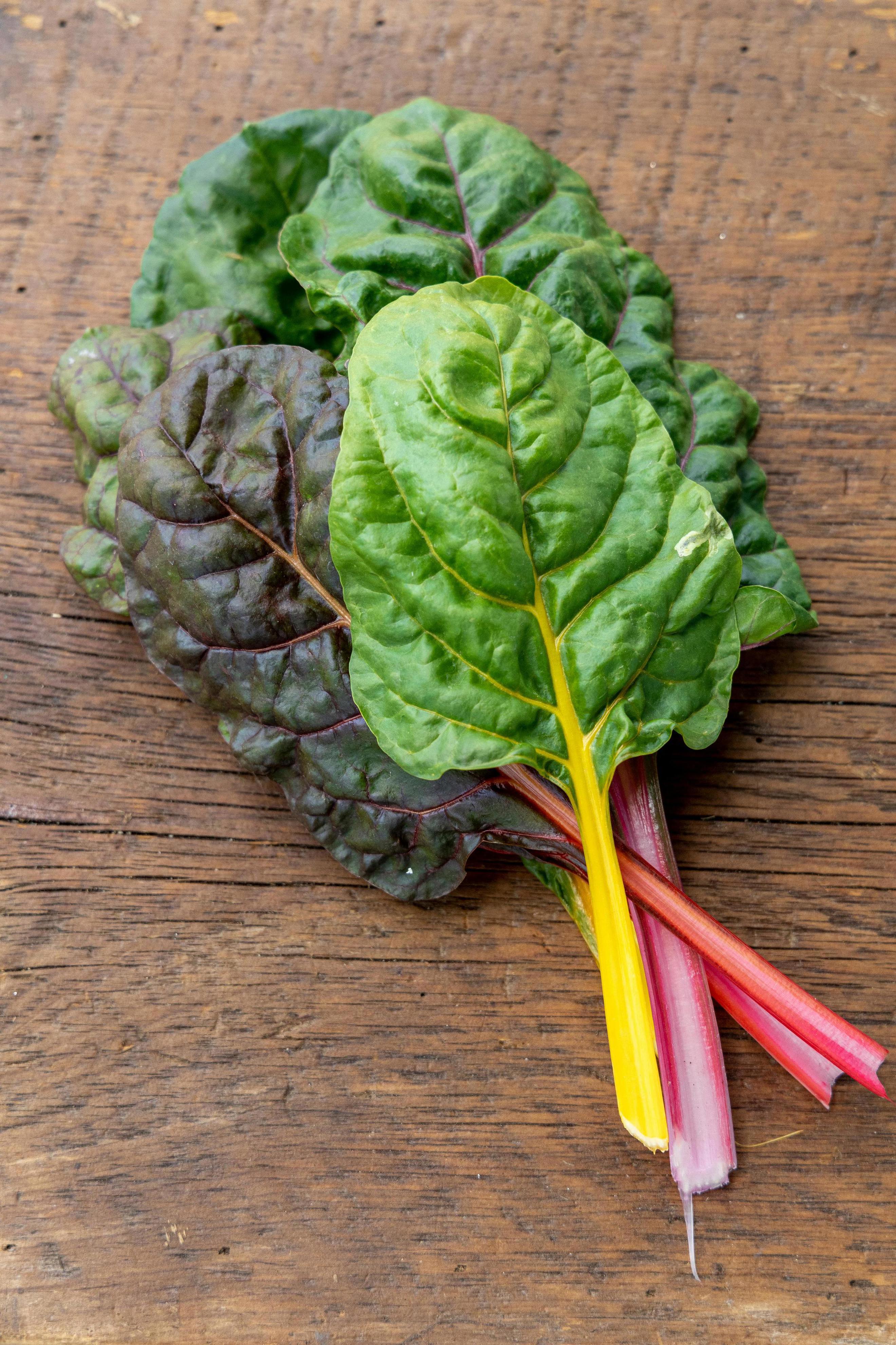 Chard | Coleshill Organics - Oxfordshire | Coleshill Organics
