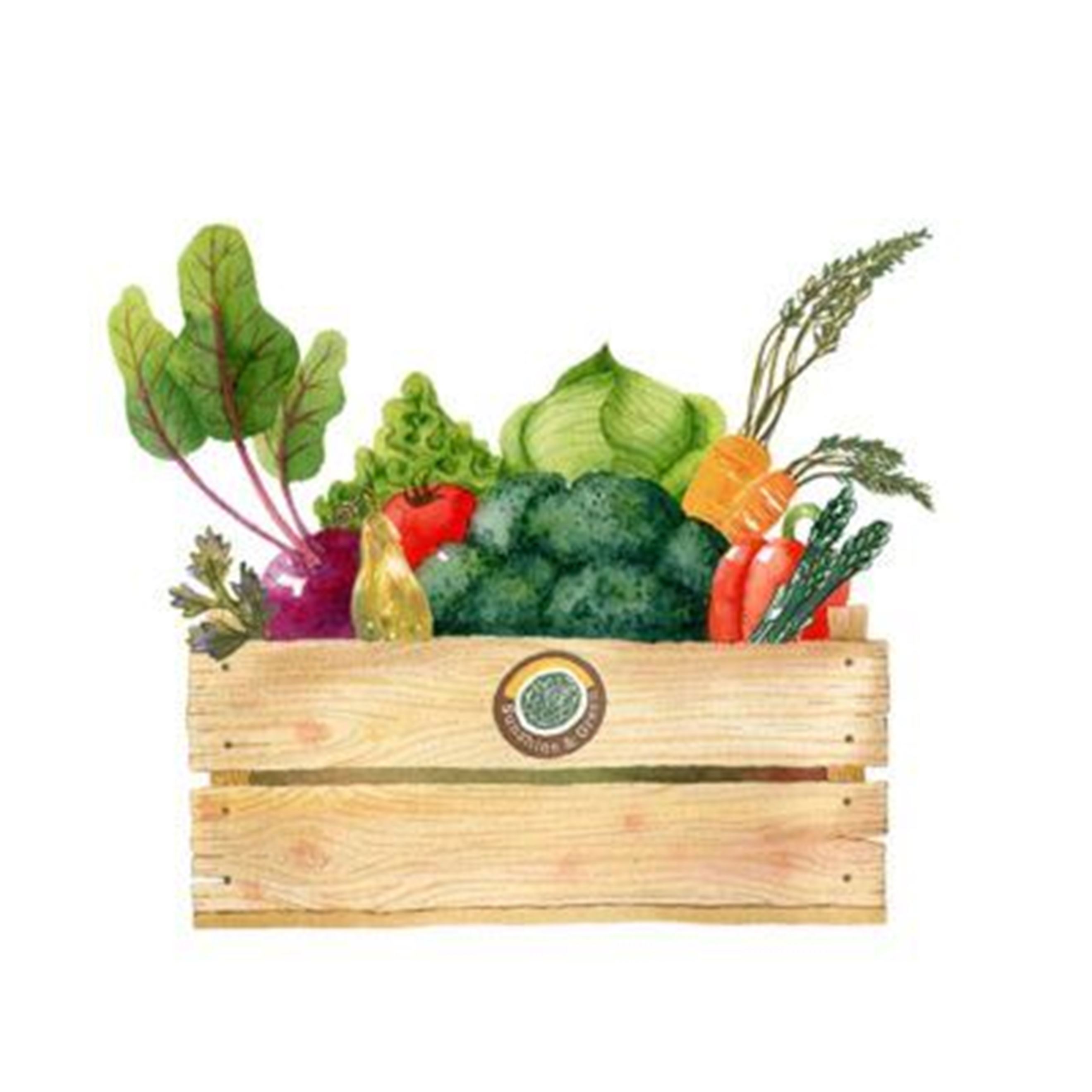 Standard Veggie Box | Sunshine and Green - Suffolk