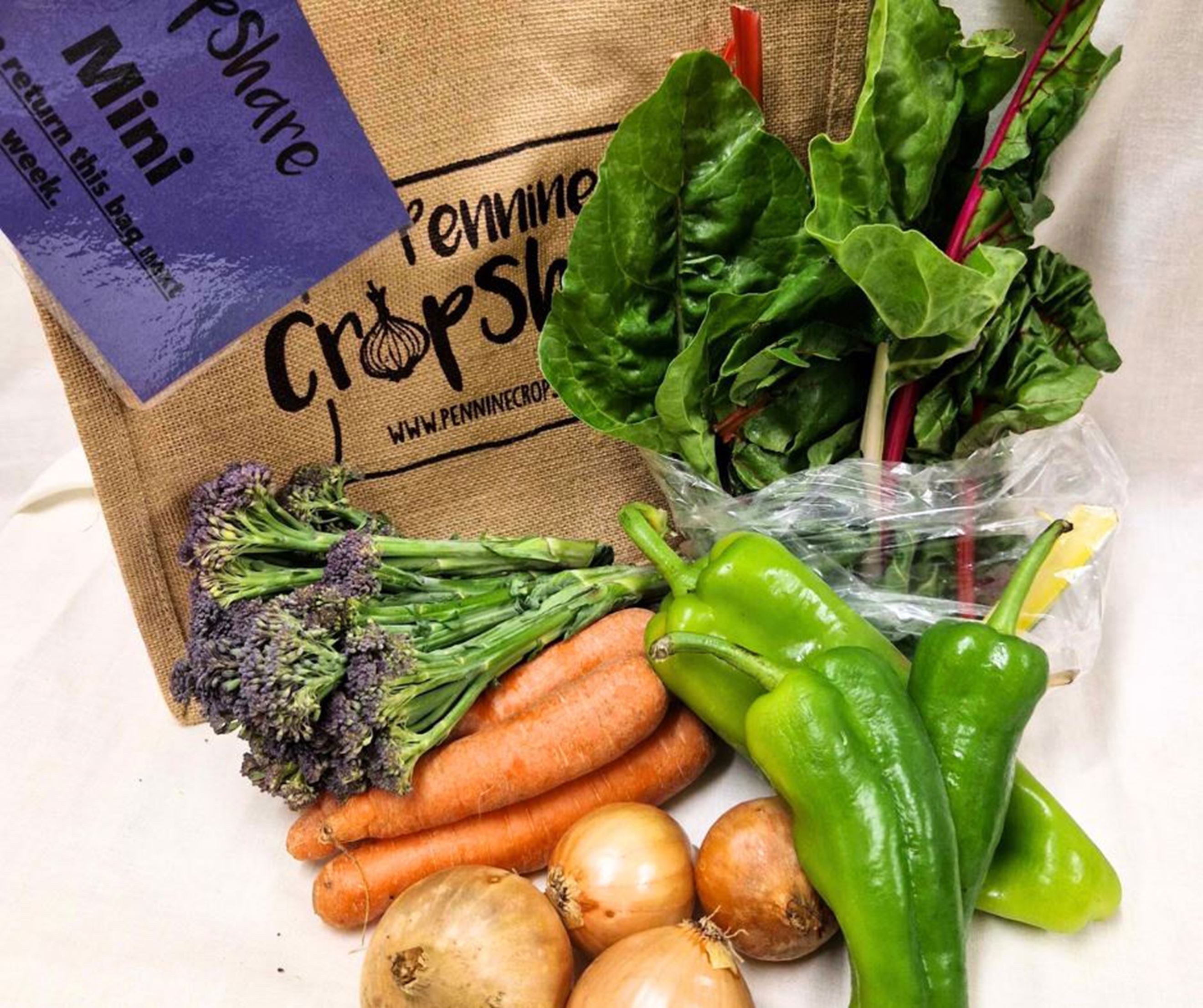 Mini Veg Bag - No Spuds | Food Box | Pennine Cropshare