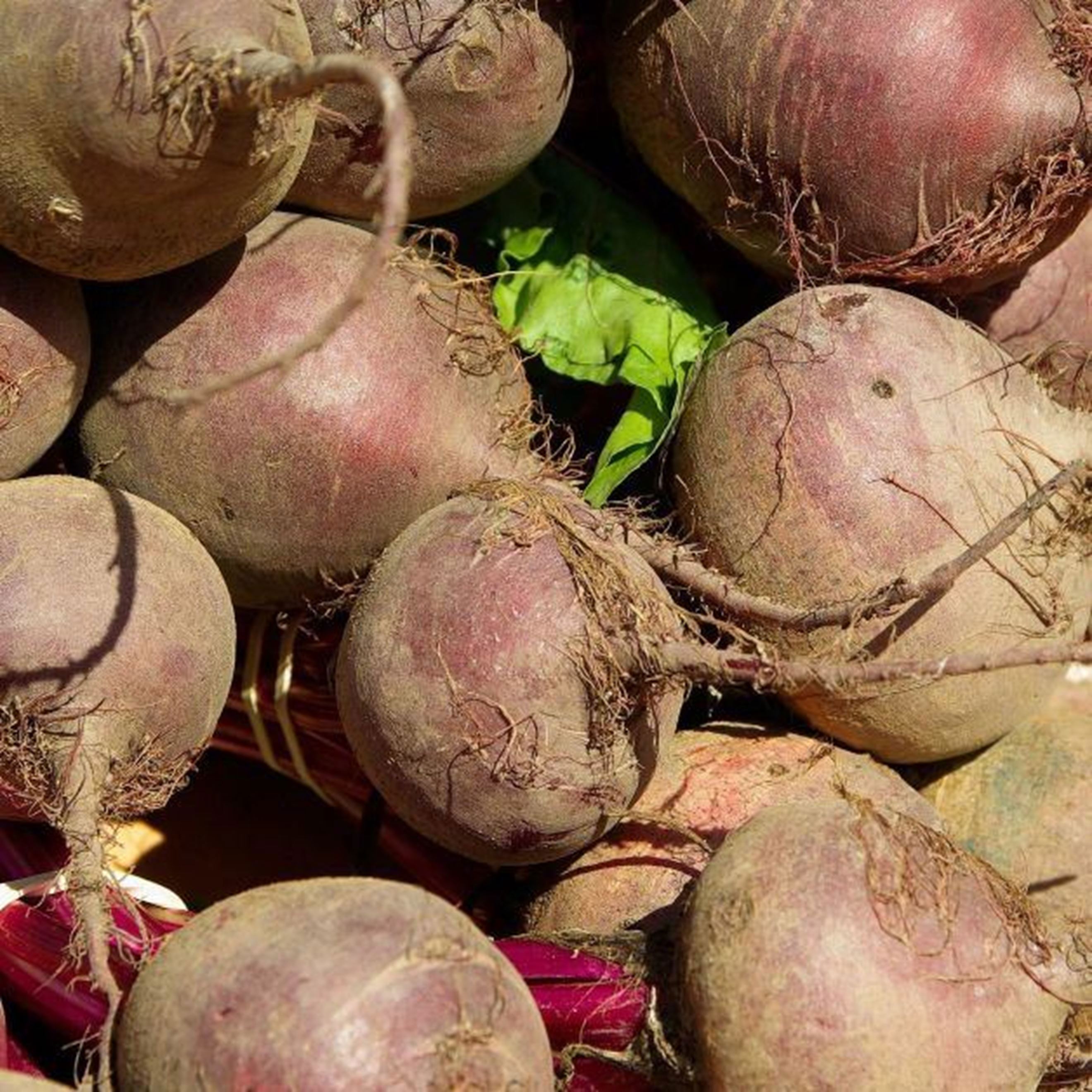 Beetroot- loose | Sarah Green's Organics | Sarah Green's Organics