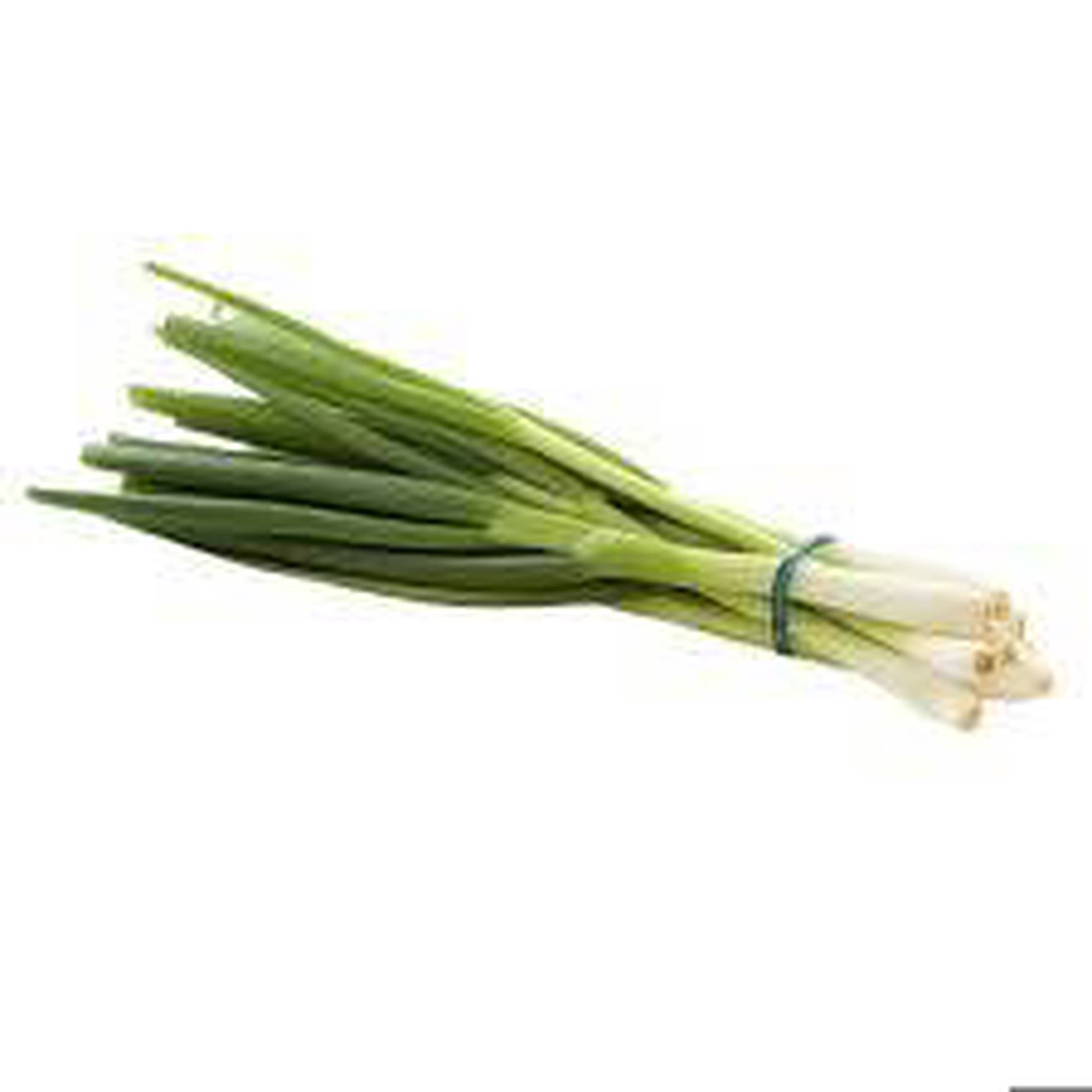Organic Spring Onions Bunch – Zesty & Freshly Picked in Hampshire ...