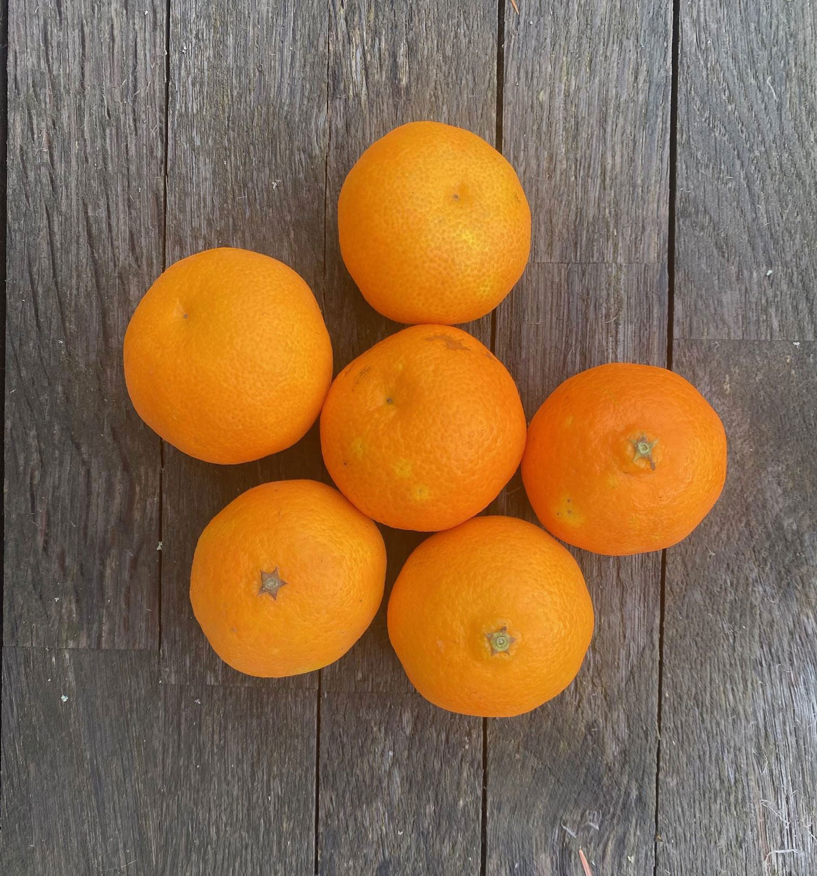 Mandarin | Bridgefoot Organic - Aberdeenshire | Bridgefoot Organic