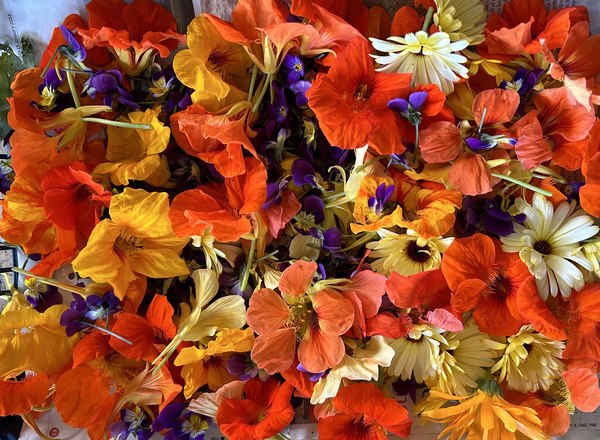 Vallis Veg - Frome Food Delivered To Your Door | Vallis Veg