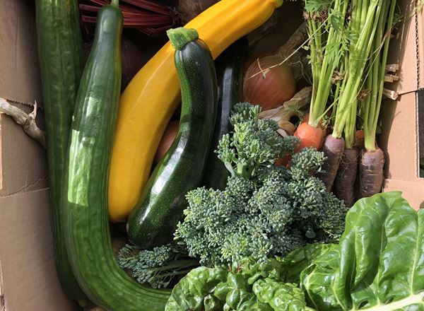 Inside Our Food Box | Carrowgarry Farm - Co. Sligo | Carrowgarry Farm